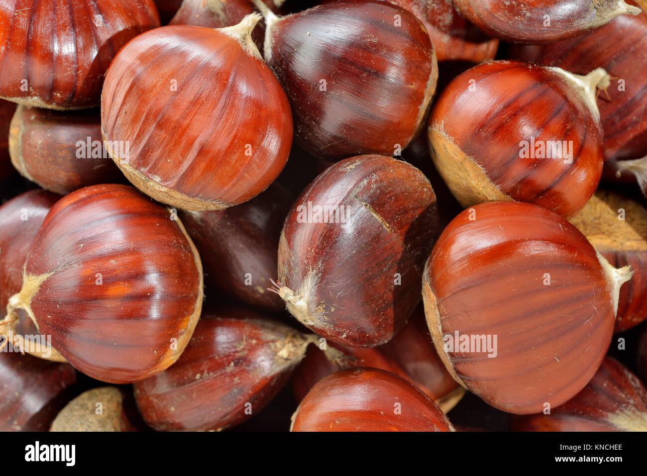 Vegetables nuts fruit hi-res stock photography and images - Alamy