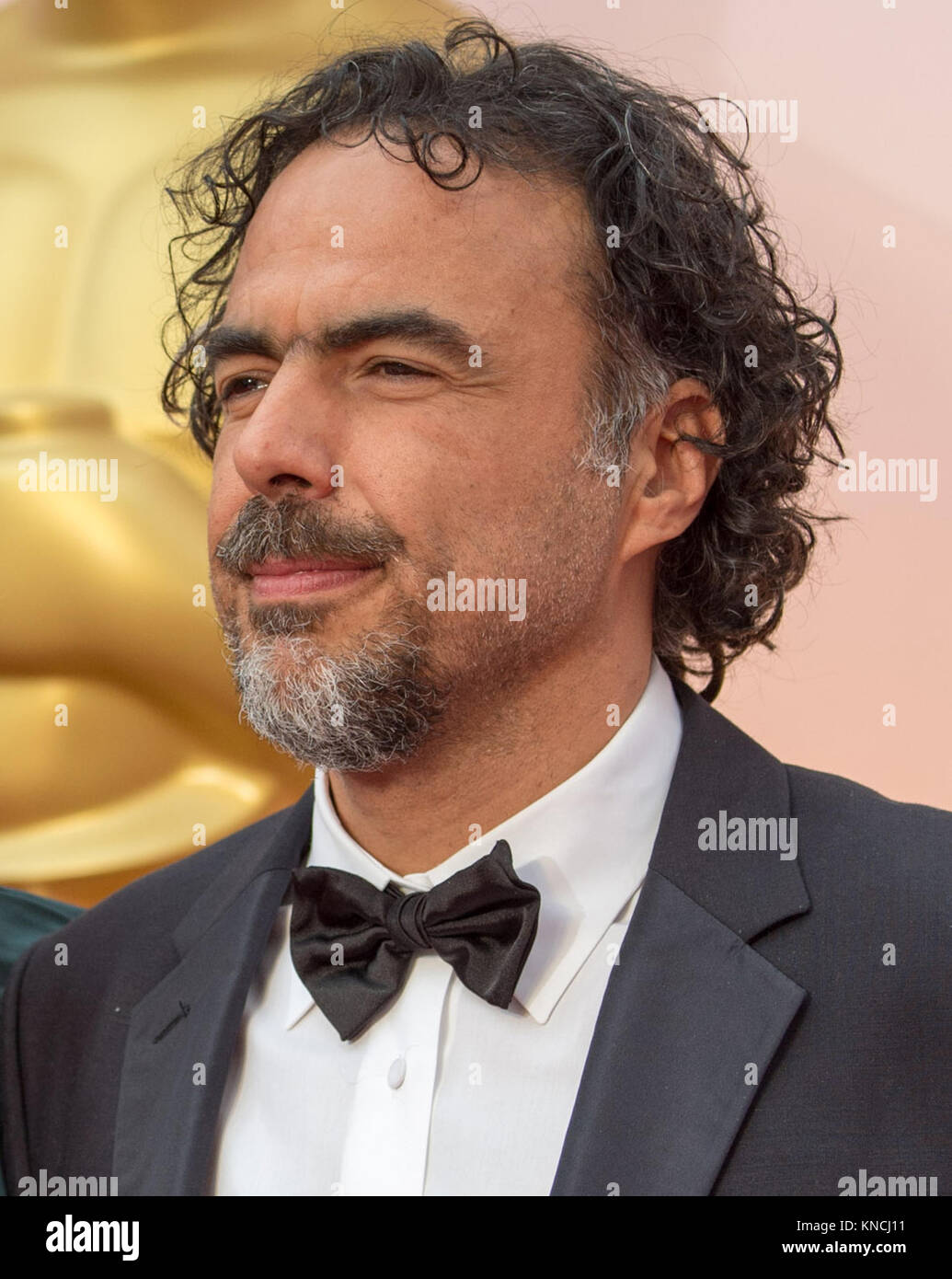 HOLLYWOOD, CA - FEBRUARY 22: Alejandro Gonzalez Inarritu attendst the ...