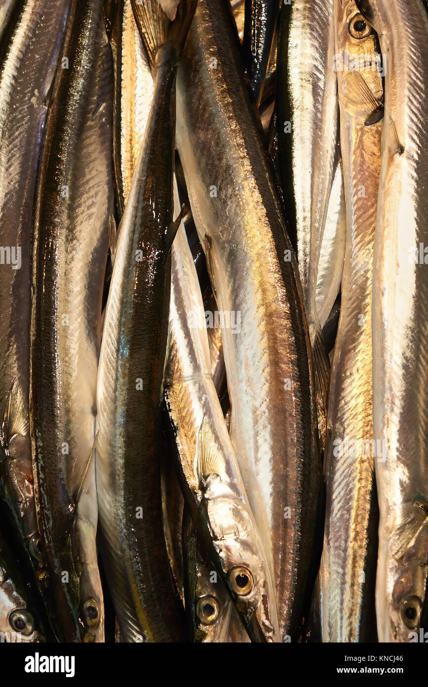 Freah fish in the store Stock Photo - Alamy