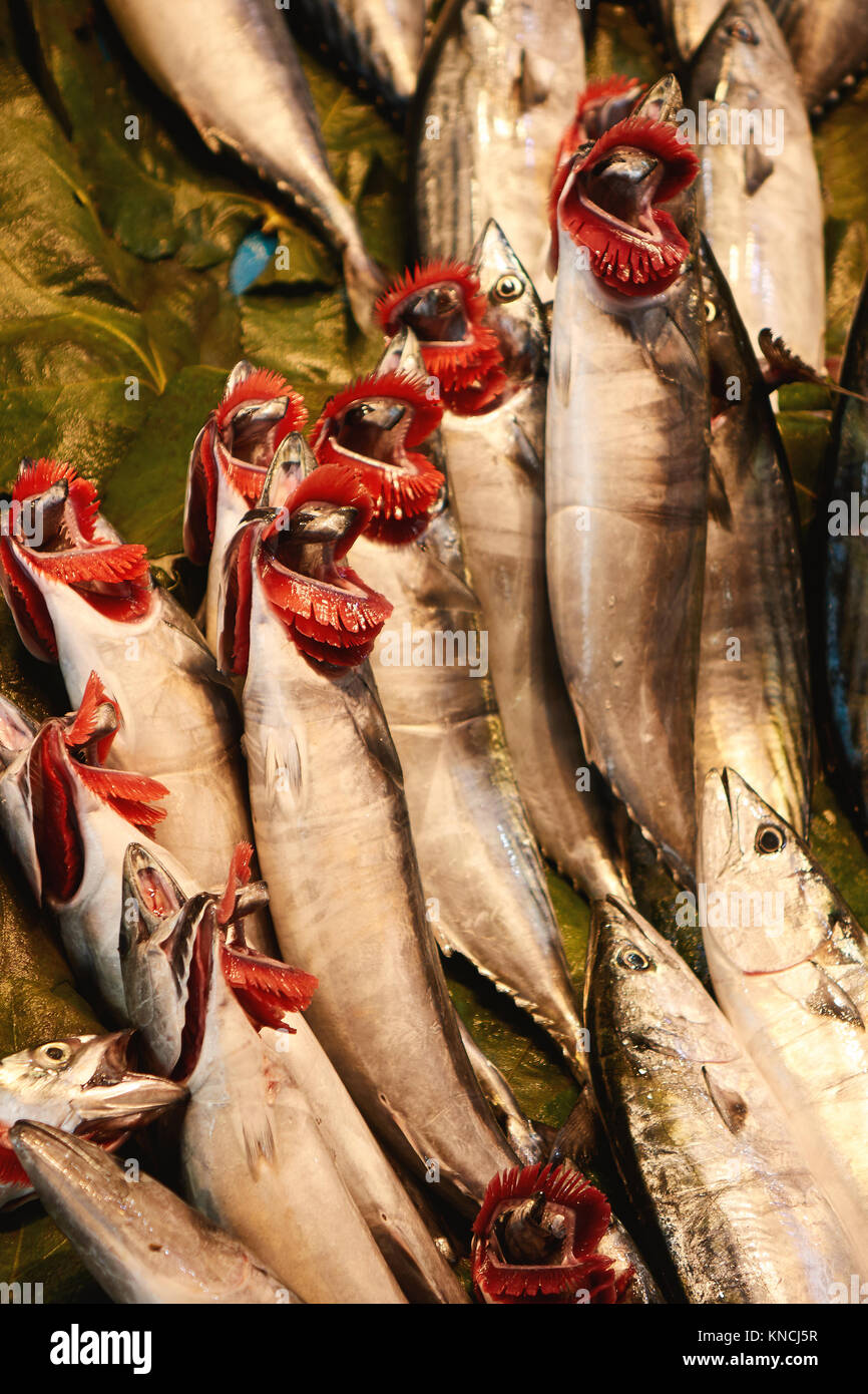 Freah fish hi-res stock photography and images - Alamy