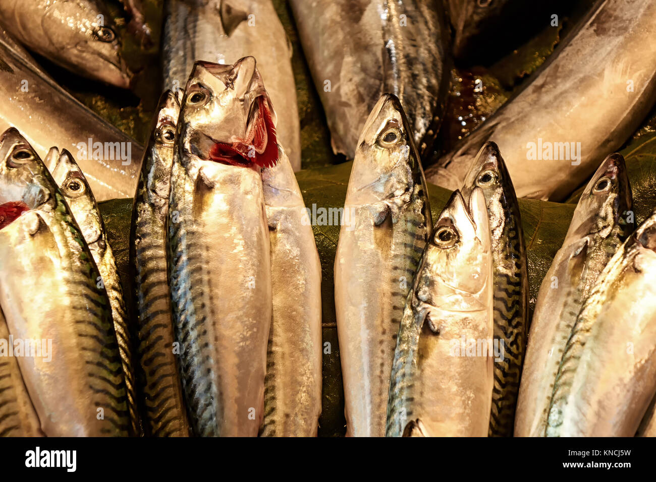 Freah fish in the store Stock Photo - Alamy
