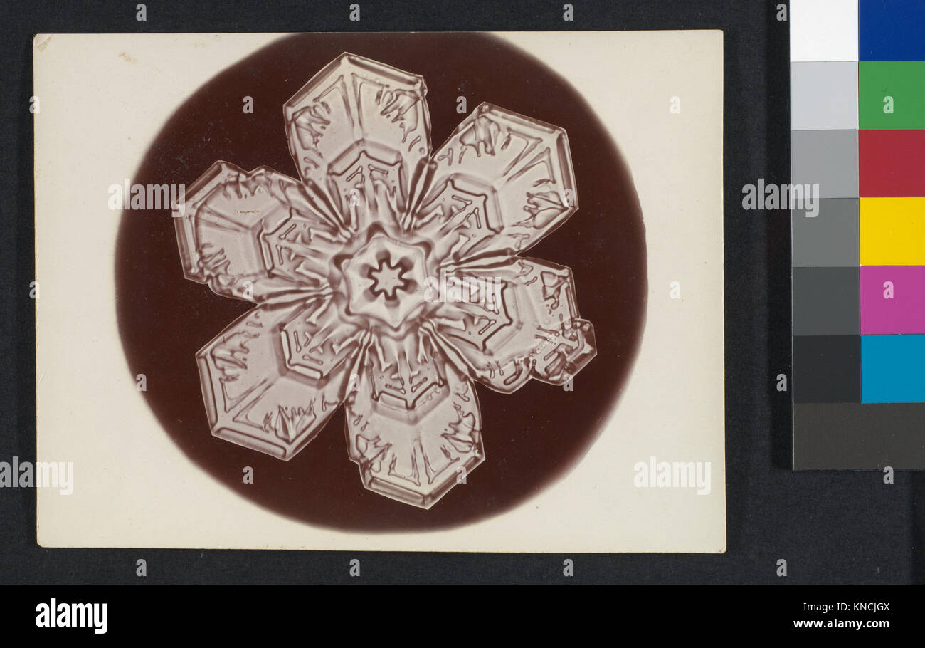 This artwork, titled 'Snow Crystal,' illustrates the intricate ...