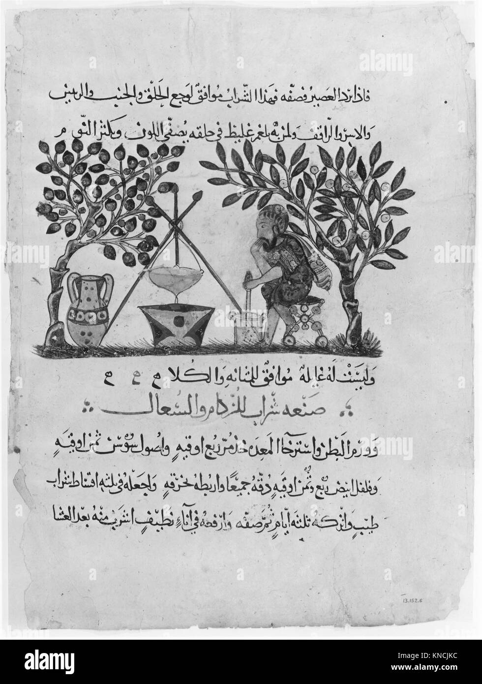 This folio from the 'Materia Medica of Dioscorides' illustrates a ...
