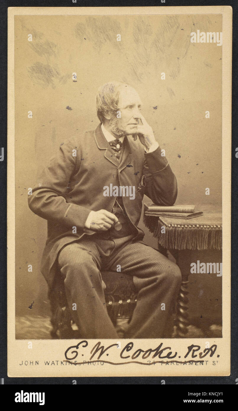 This is a portrait of Edward William Cooke, an English artist known for ...