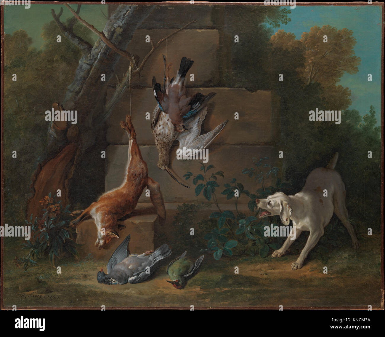 Dog guarding dead game hi-res stock photography and images - Alamy