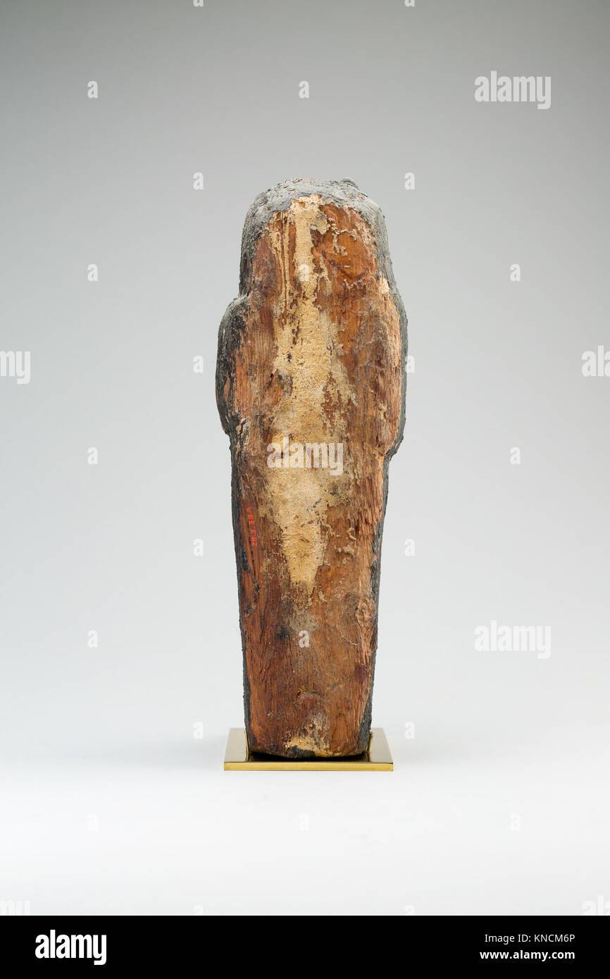 This canopic coffin, in the shape of Duamutef, represents the ...