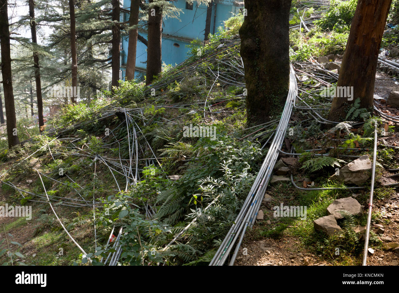 Large network of overground water pipes supply water to different ...