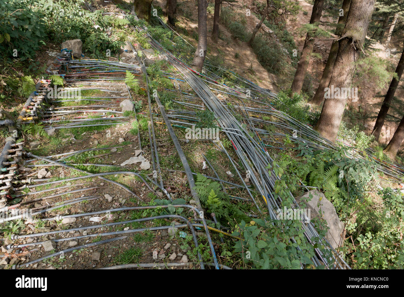 Large network of overground water pipes supply water to different ...