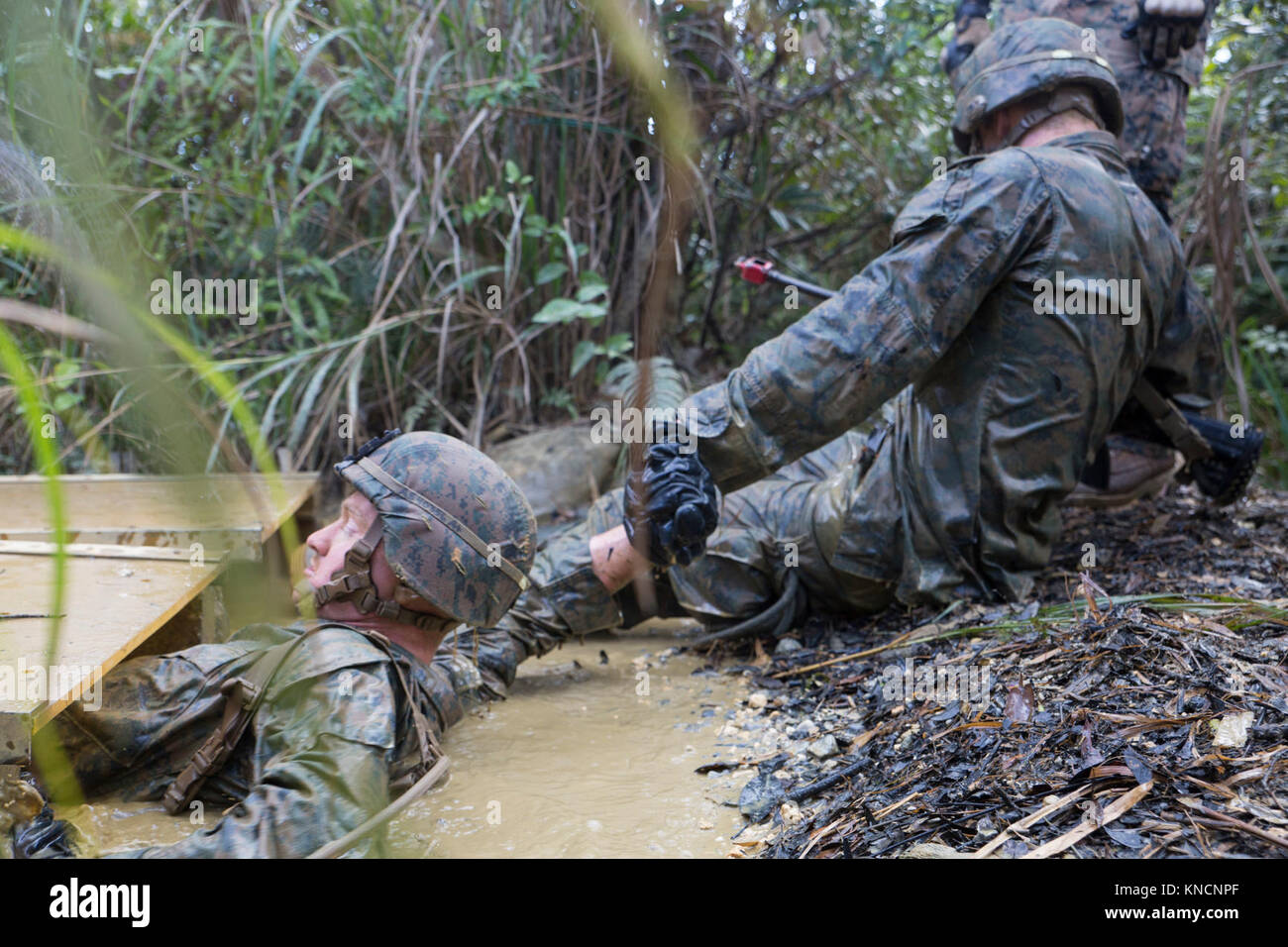 U.S. Marines conduct the endurance course at the Jungle Warfare ...