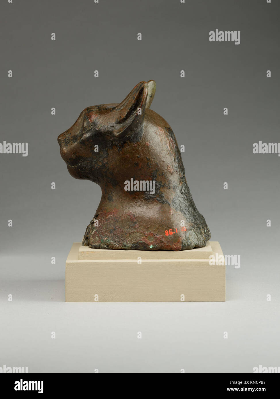 The 'Head of a Cat' is an ancient artifact housed in the Metropolitan ...