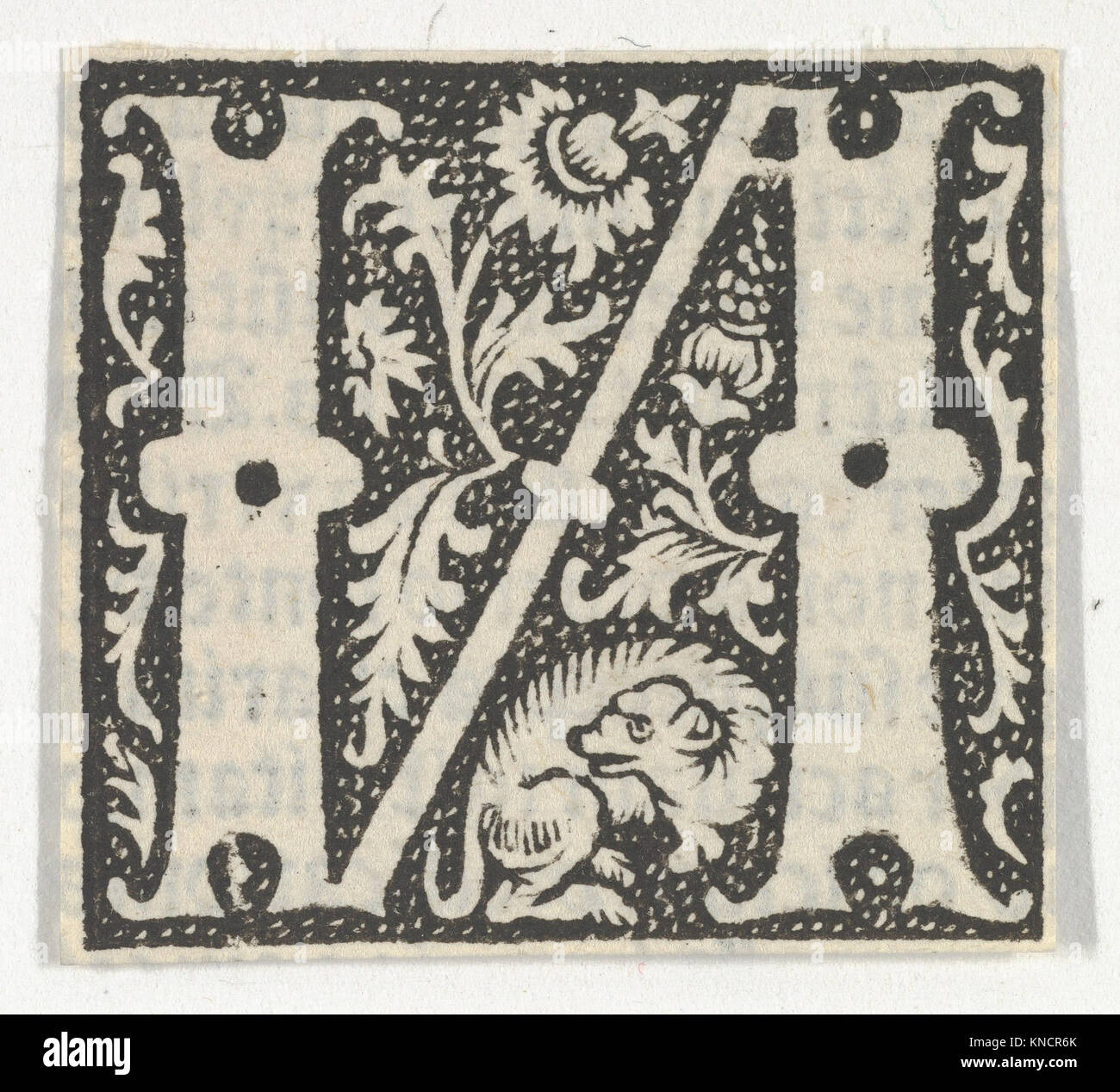 This artwork showcases a decorated Roman alphabet, offering a glimpse ...
