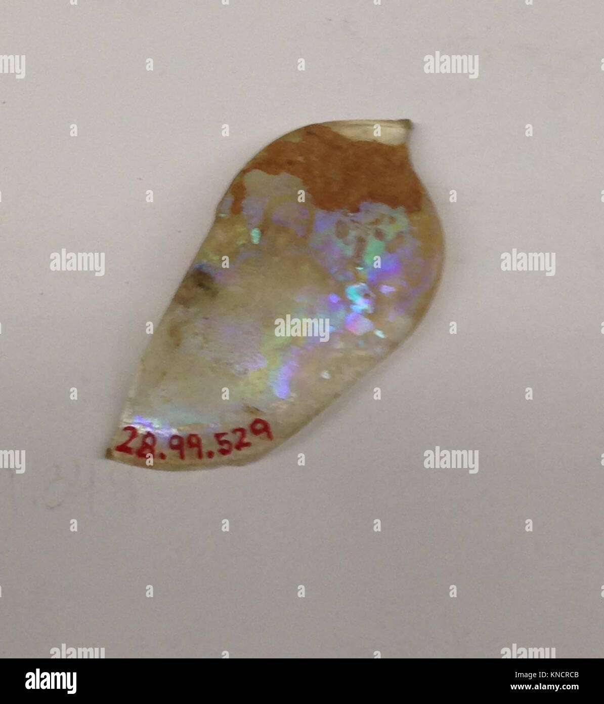 This fragment, part of a larger object, offers a valuable glimpse into ...