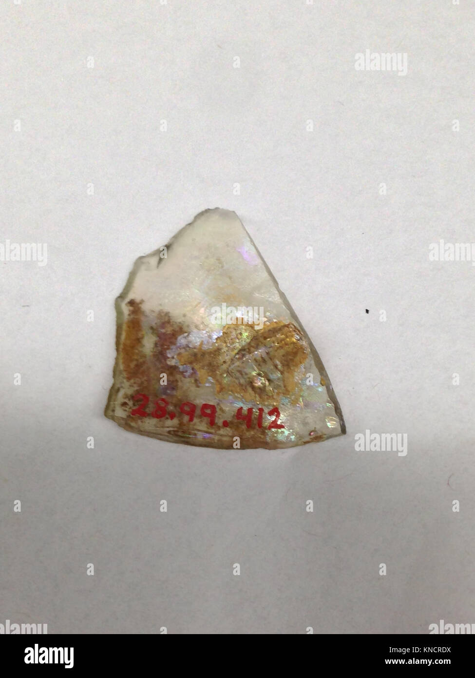 This fragment of an ancient object, preserved in a museum collection ...