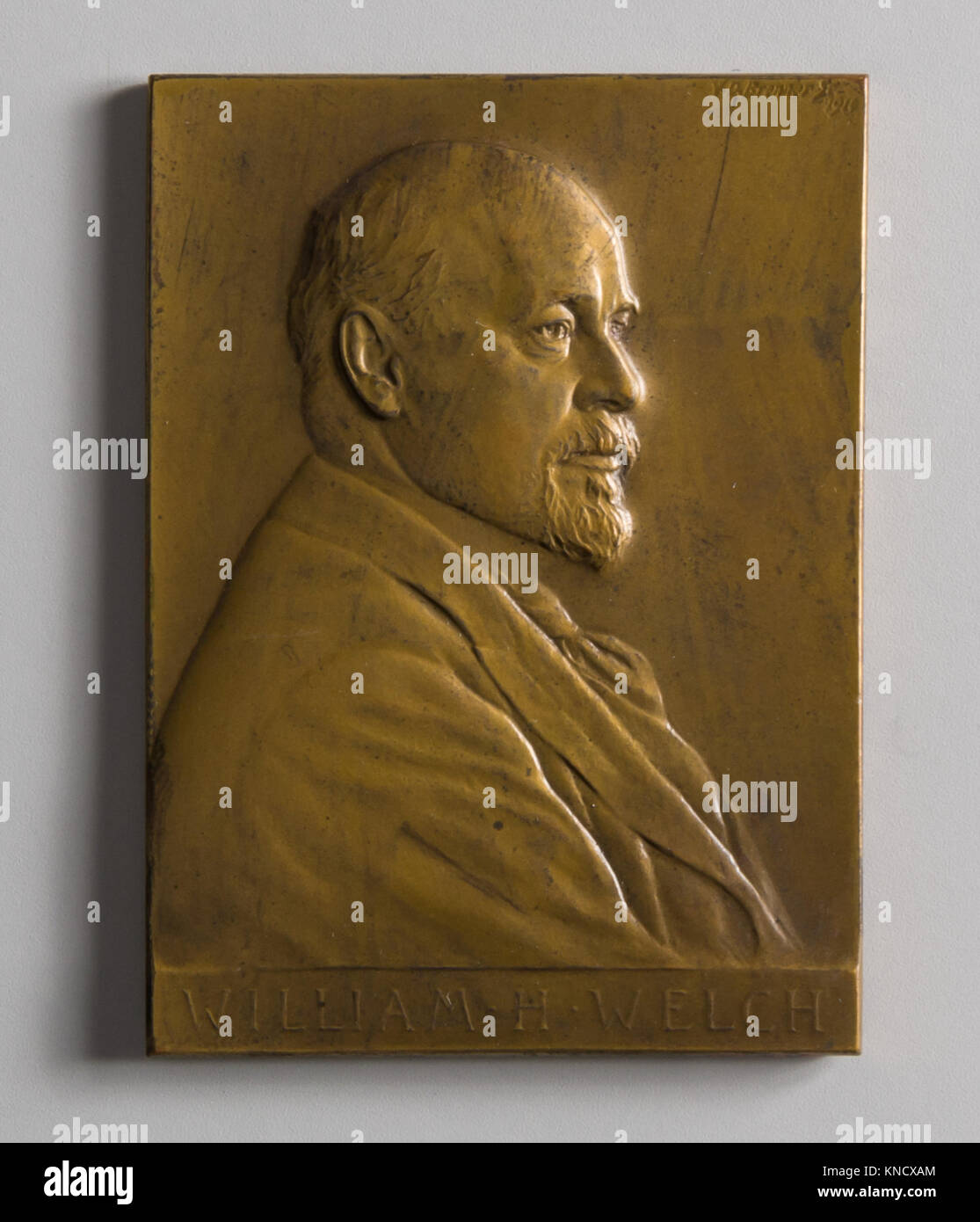 Dr. William Henry Welch MET AW 10 89-001 14701 Stock Photo - Alamy