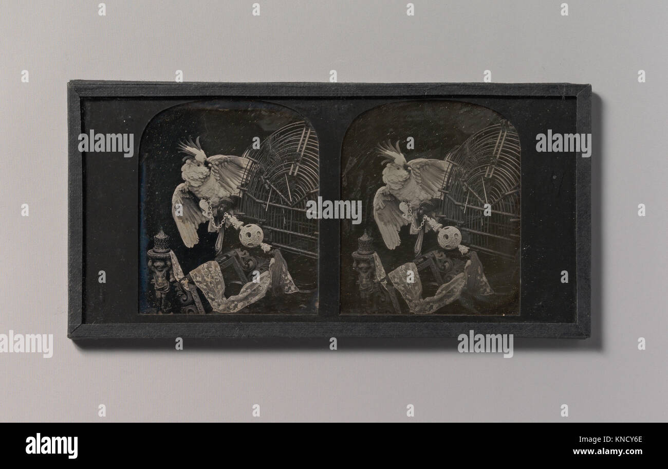 A stereograph still-life scene featuring a cockatoo, ornamental ball ...