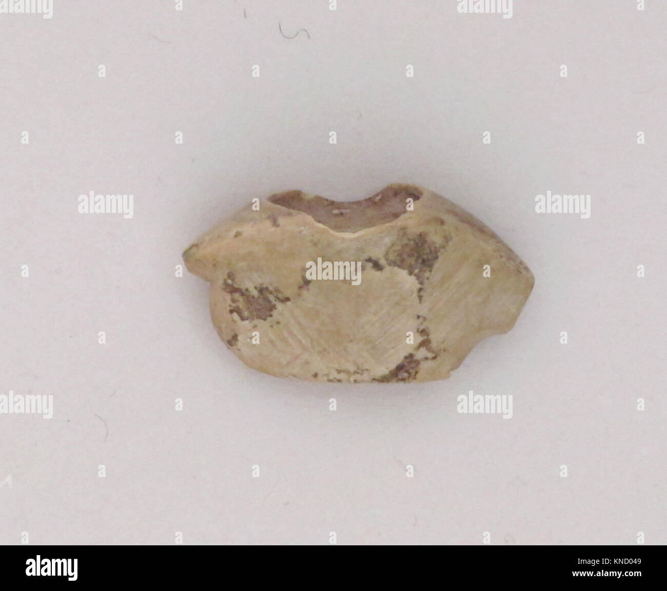 This collection of eye inlays represents intricate craftsmanship, with ...