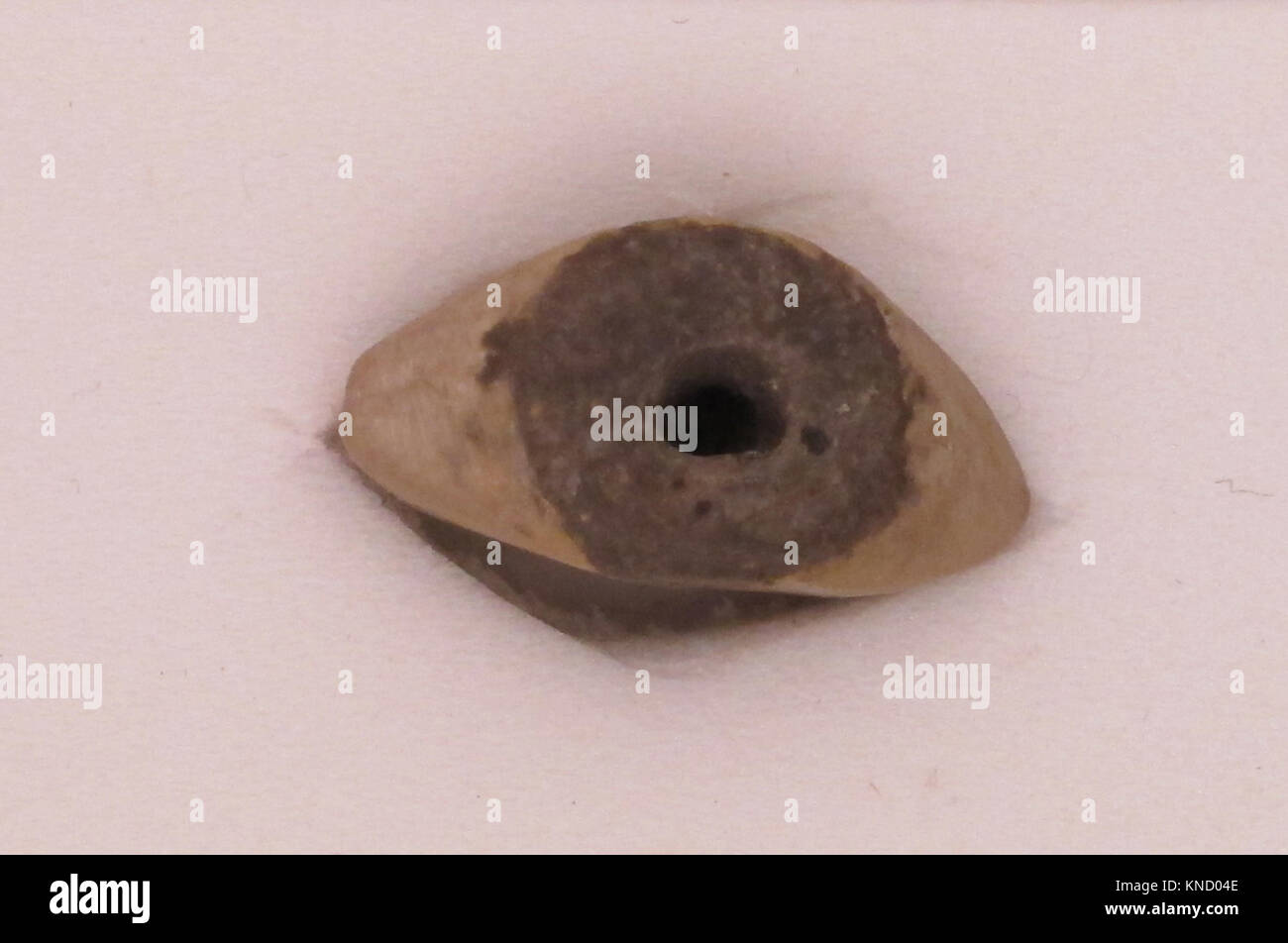 A set of eye inlays, likely part of a larger decorative object or ...