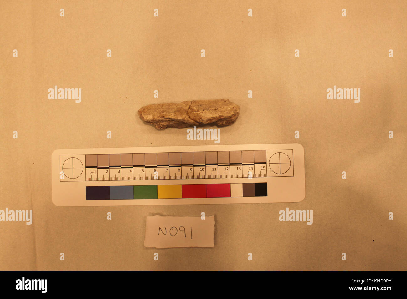 This fragment, likely part of a larger ceramic object, displays ...