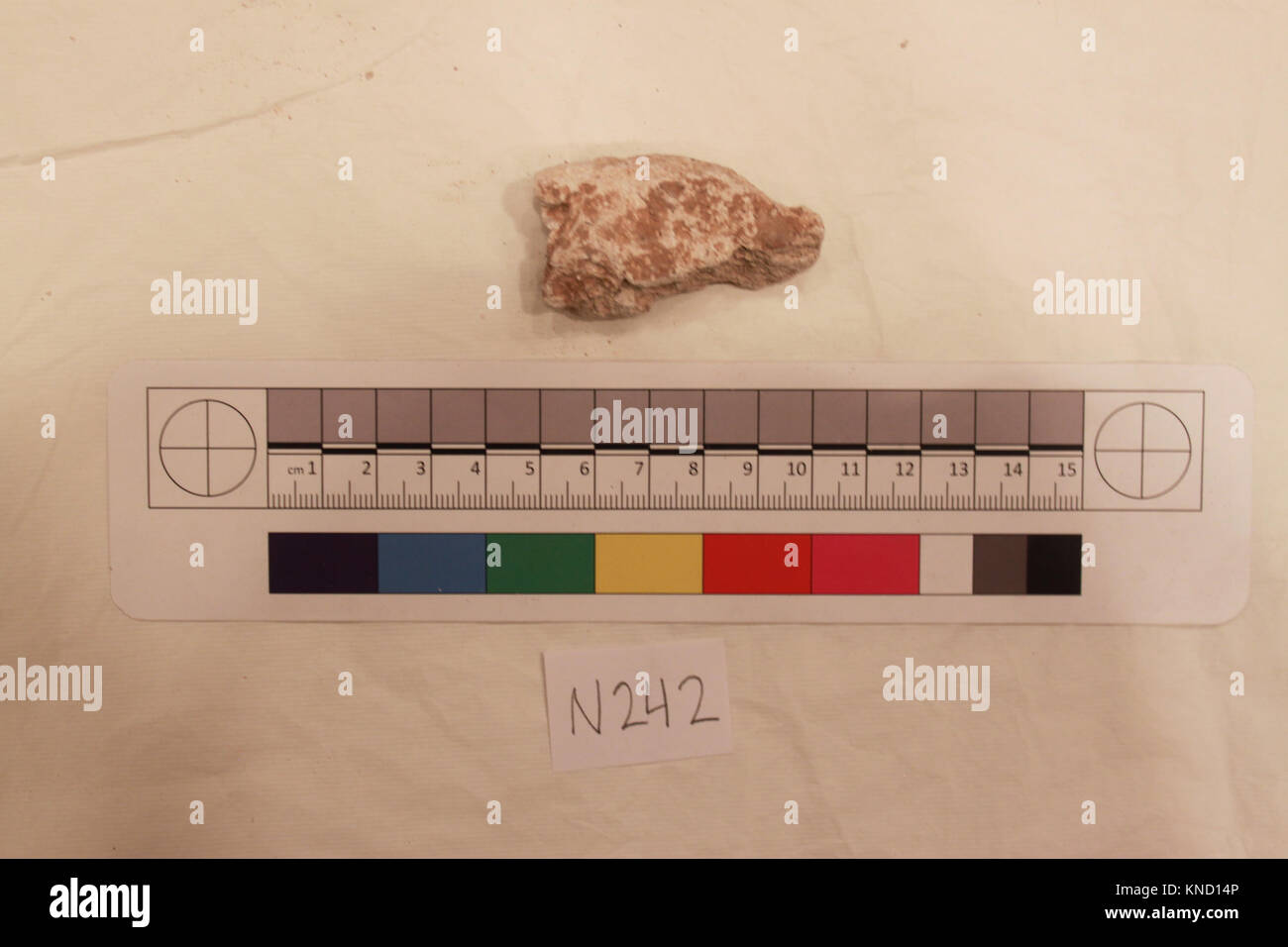 Fragment MET LC-N242-back 741609 Stock Photo - Alamy