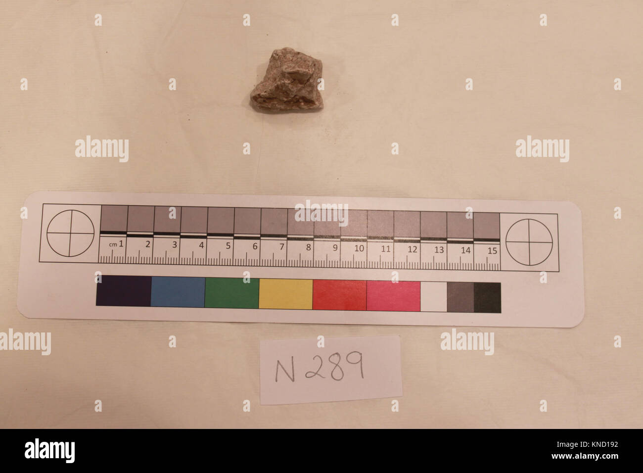 Fragment MET LC-N289-front 741656 Stock Photo - Alamy