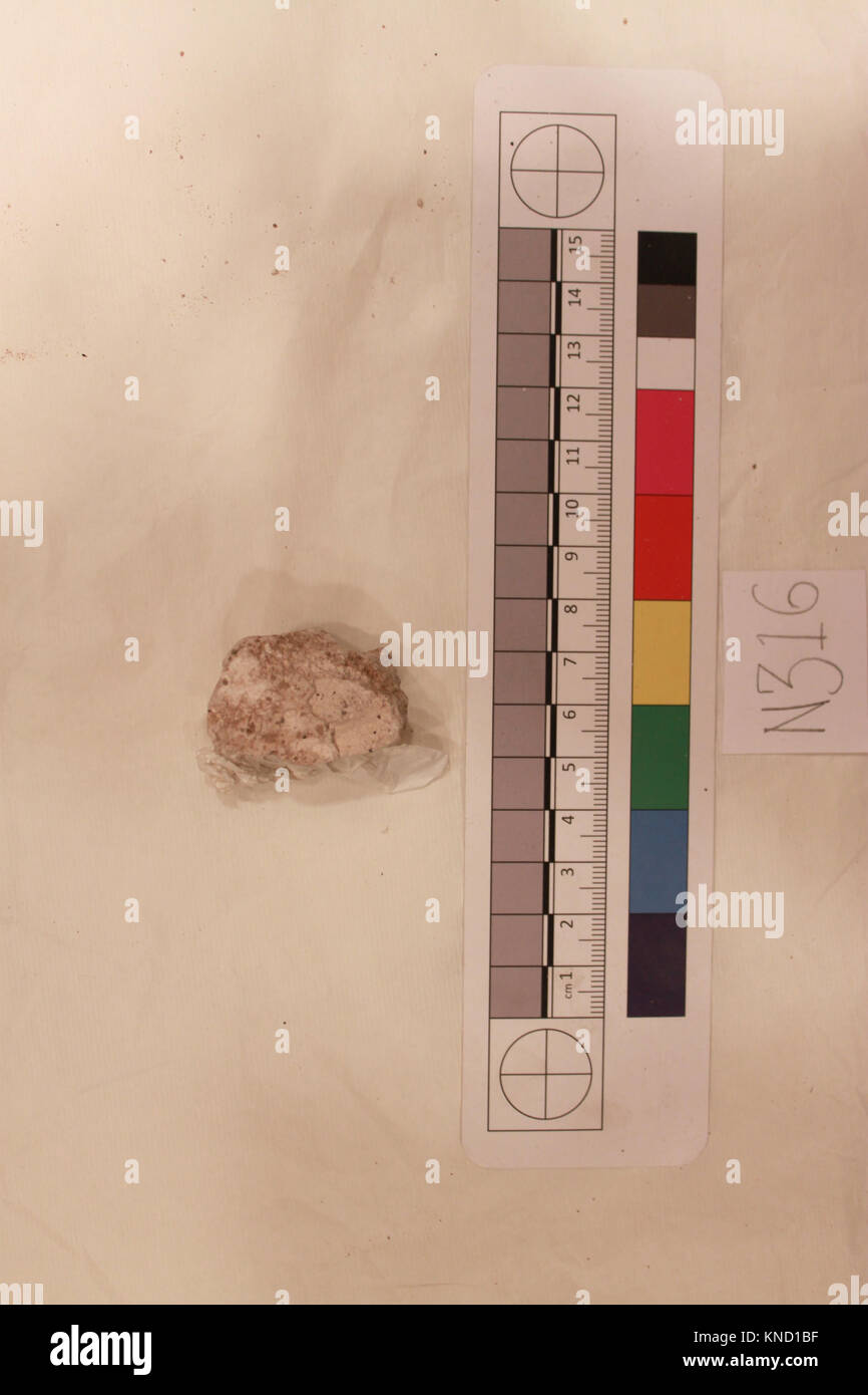 A fragmentary piece with a detailed design, showcasing an ancient or ...