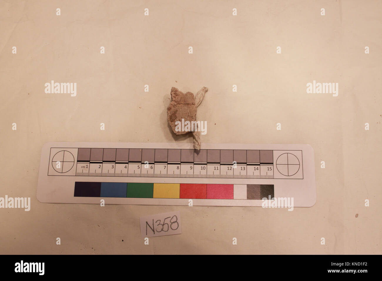 This fragment, cataloged as MET LC-N358-back, is a preserved piece of a ...