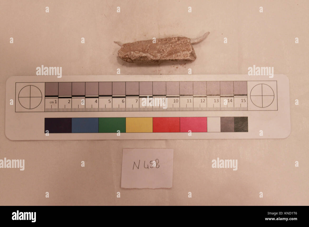 This fragment is part of a larger historical artifact. It offers ...