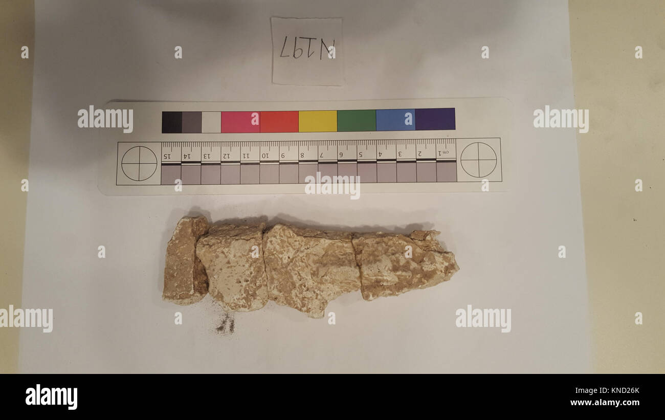 This fragment, likely part of a larger object, offers a glimpse into ...