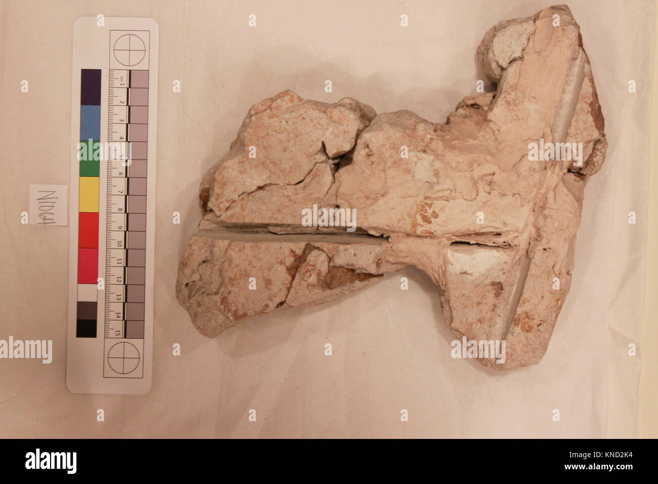 This fragment represents a preserved piece of historical material that ...