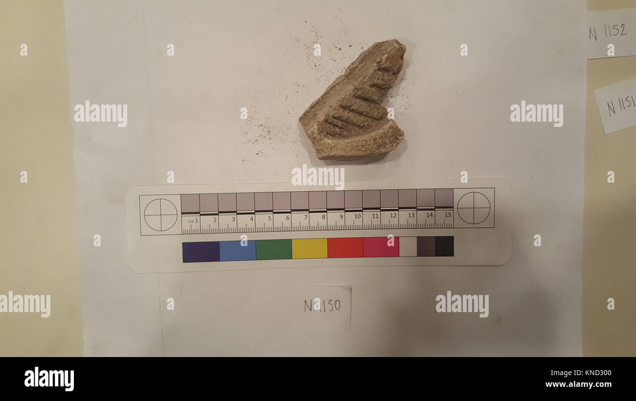 This fragment is a portion of a larger object, providing valuable ...