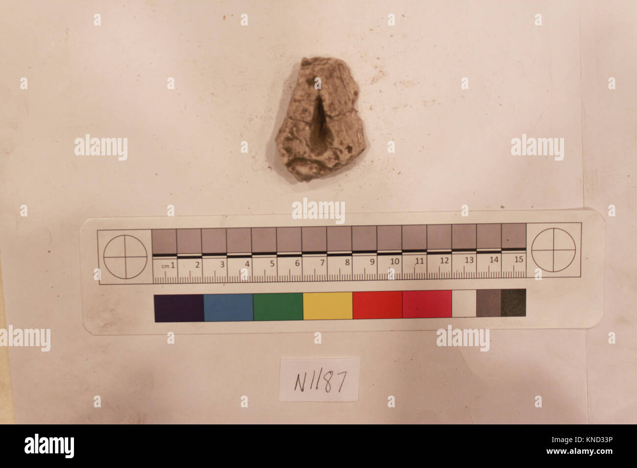 Fragment MET LC-N1187-front 740976 Stock Photo - Alamy