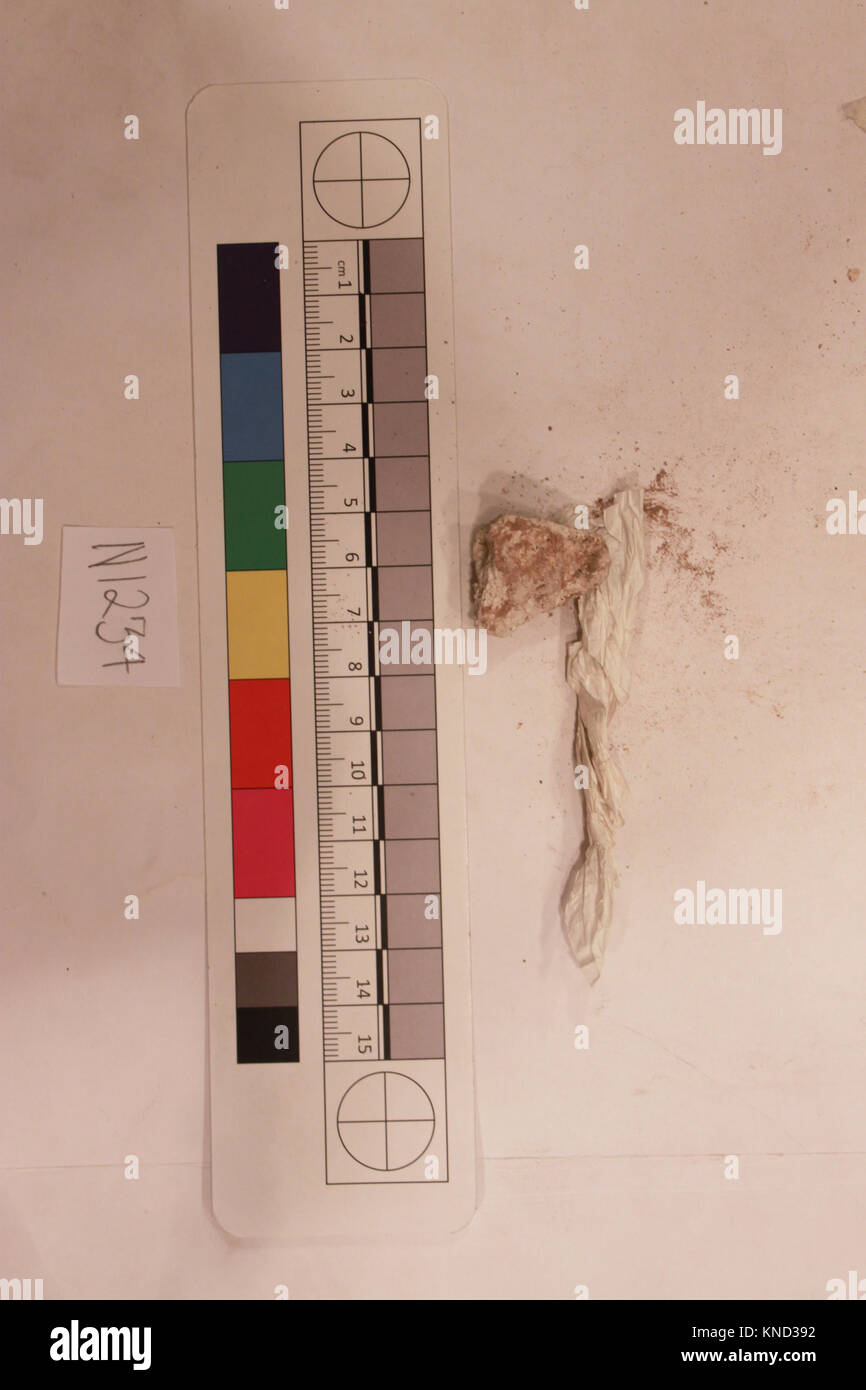 Fragment MET LC-N1234-back 741027 Stock Photo - Alamy