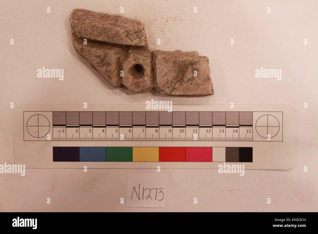 This fragment represents a portion of an artifact, displaying portions ...