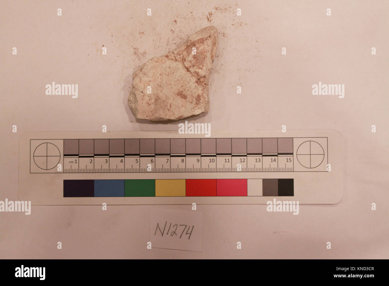 Fragment MET LC-N1274-back 741071 Stock Photo - Alamy