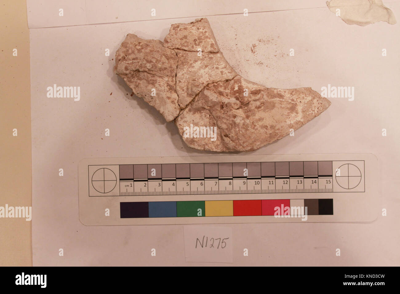 Fragment MET LC-N1275-back 741072 Stock Photo - Alamy