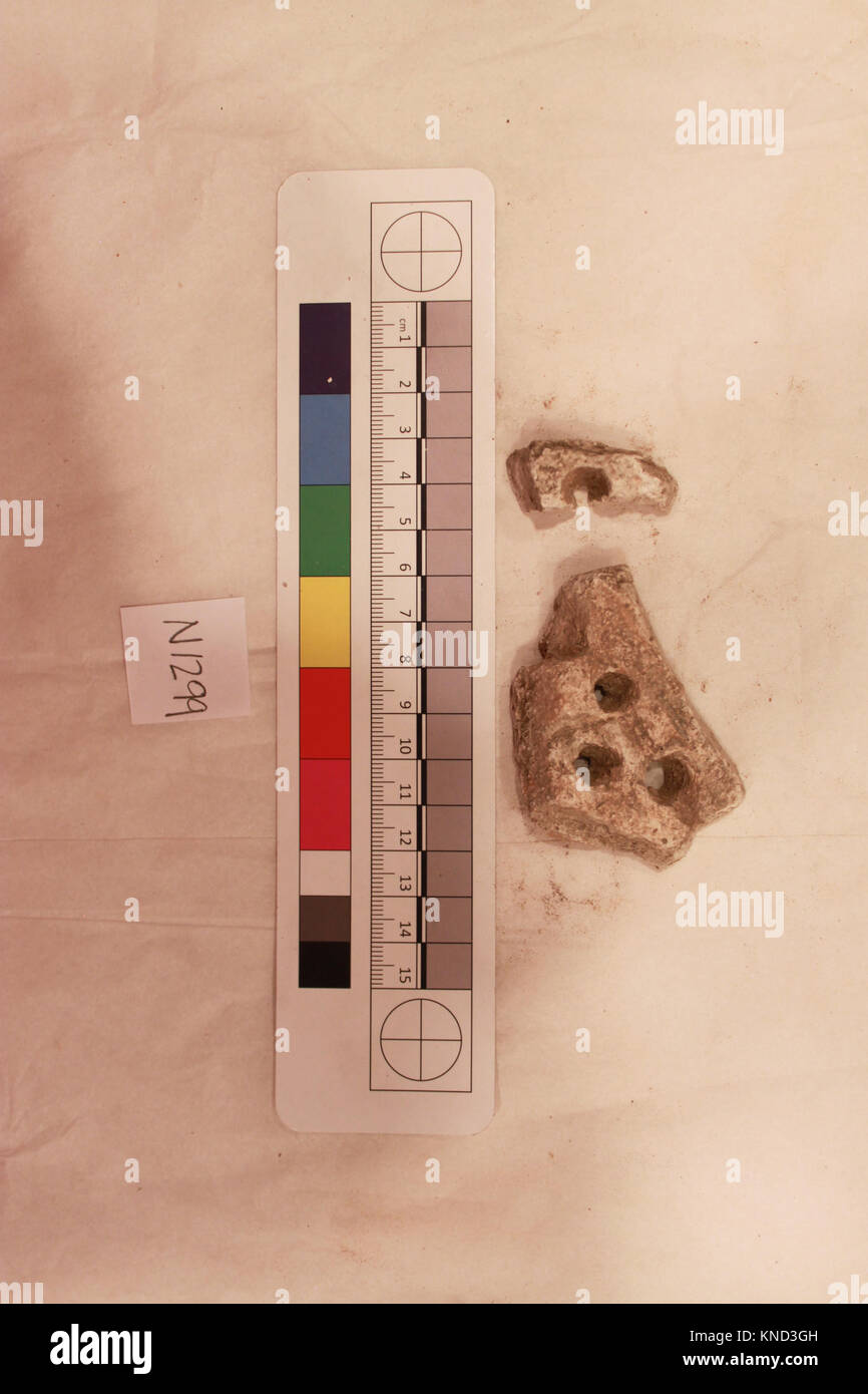 This fragment is part of a larger object, providing valuable ...