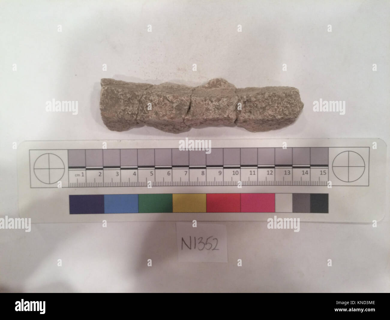This fragment, part of a larger object, serves as an example of ...