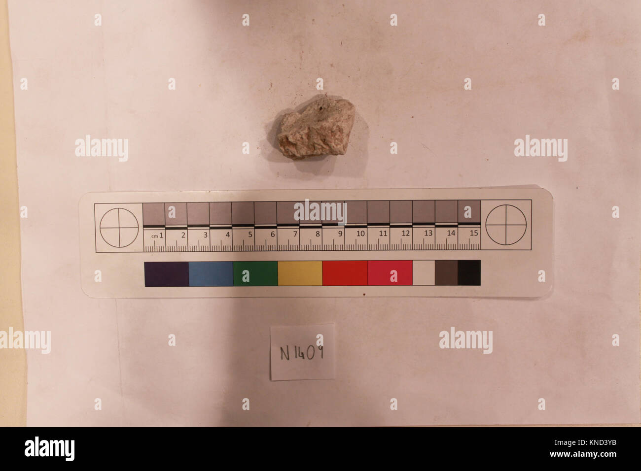 This fragment showcases part of a larger object, preserving essential ...