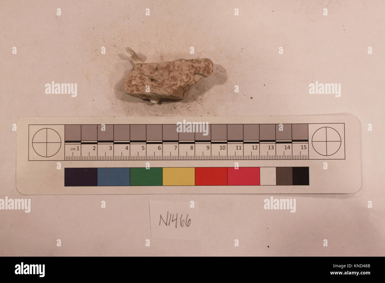 This fragment represents part of a larger artifact, highlighting ...
