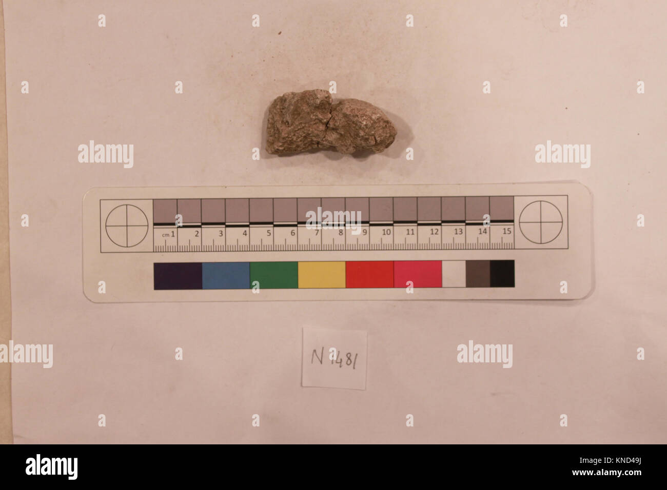 A fragment from a larger artwork or object, preserved for its ...