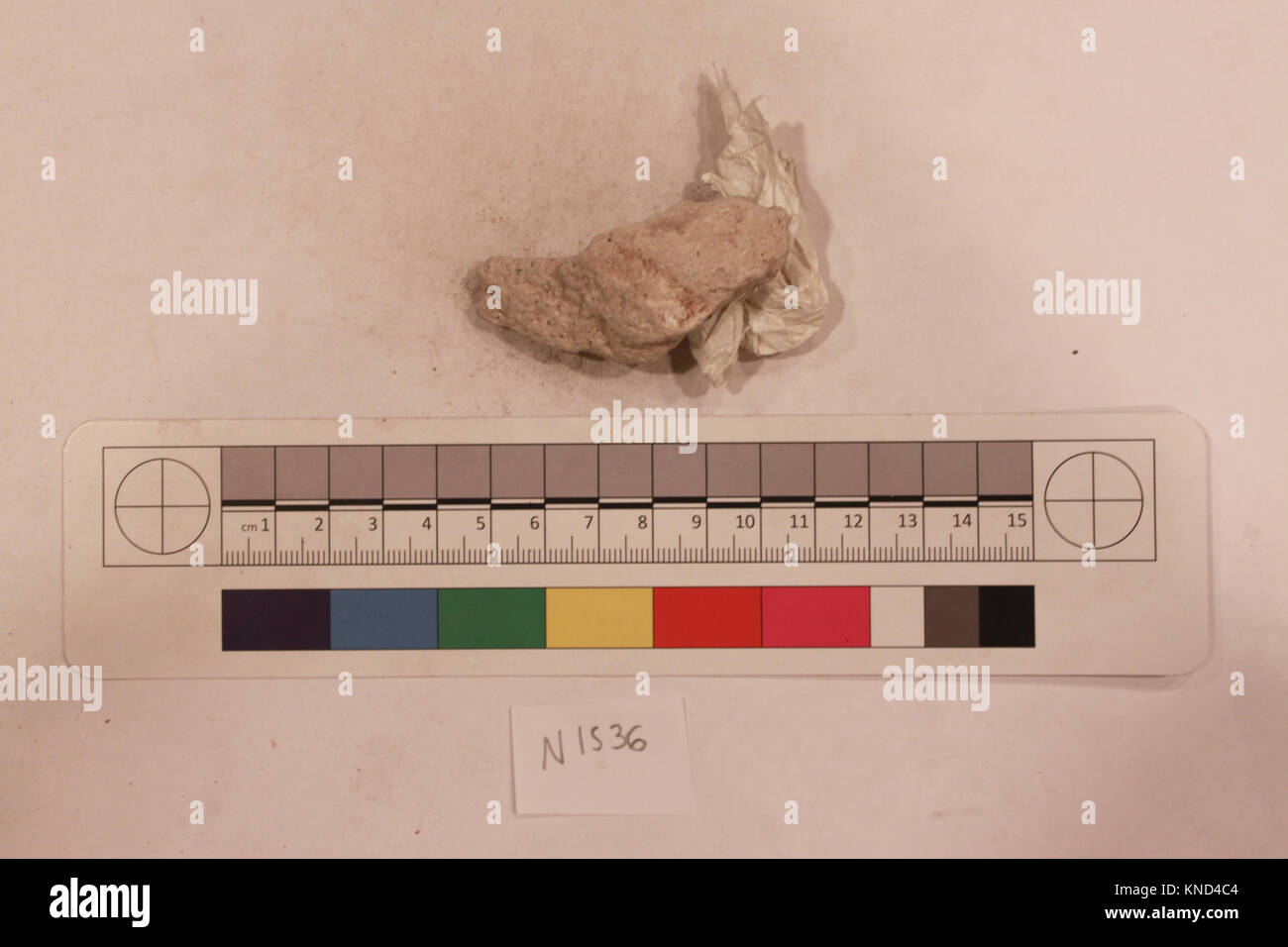 This fragment, likely part of a larger work, offers a glimpse into ...