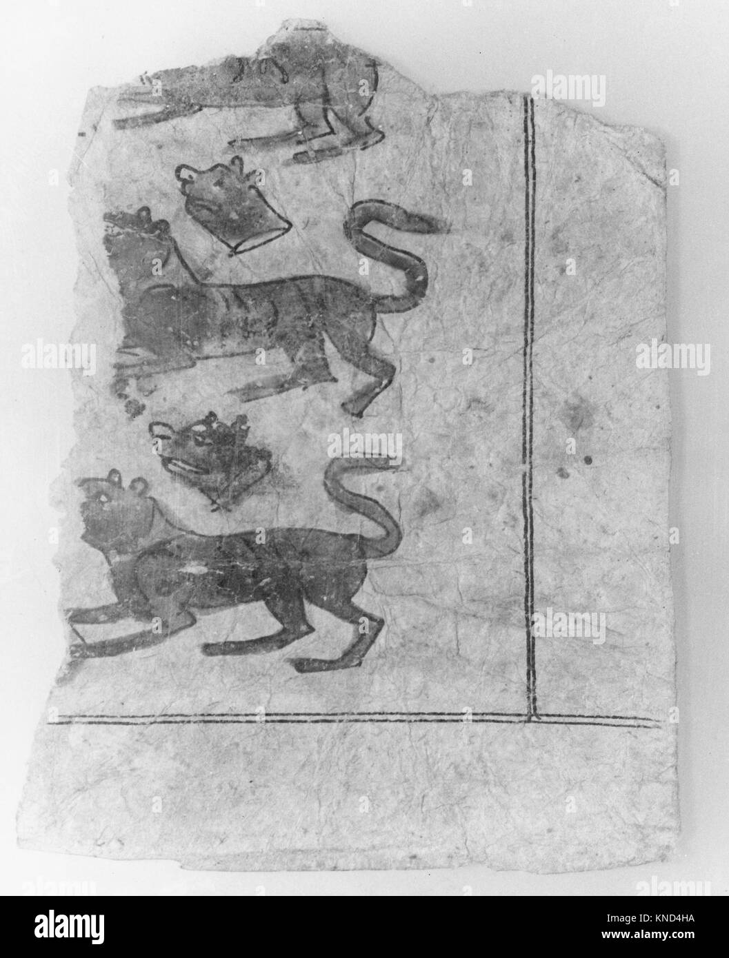 This manuscript folio depicts rows of animals with cut-off heads ...