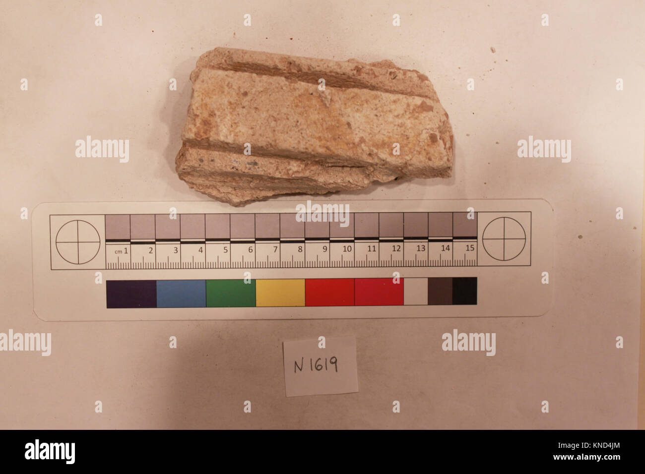 This fragment likely represents part of a larger object, preserved in ...