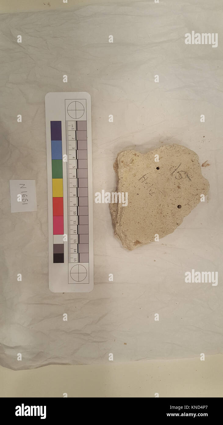 This fragment is a section of a larger object, possibly a sculpture or ...