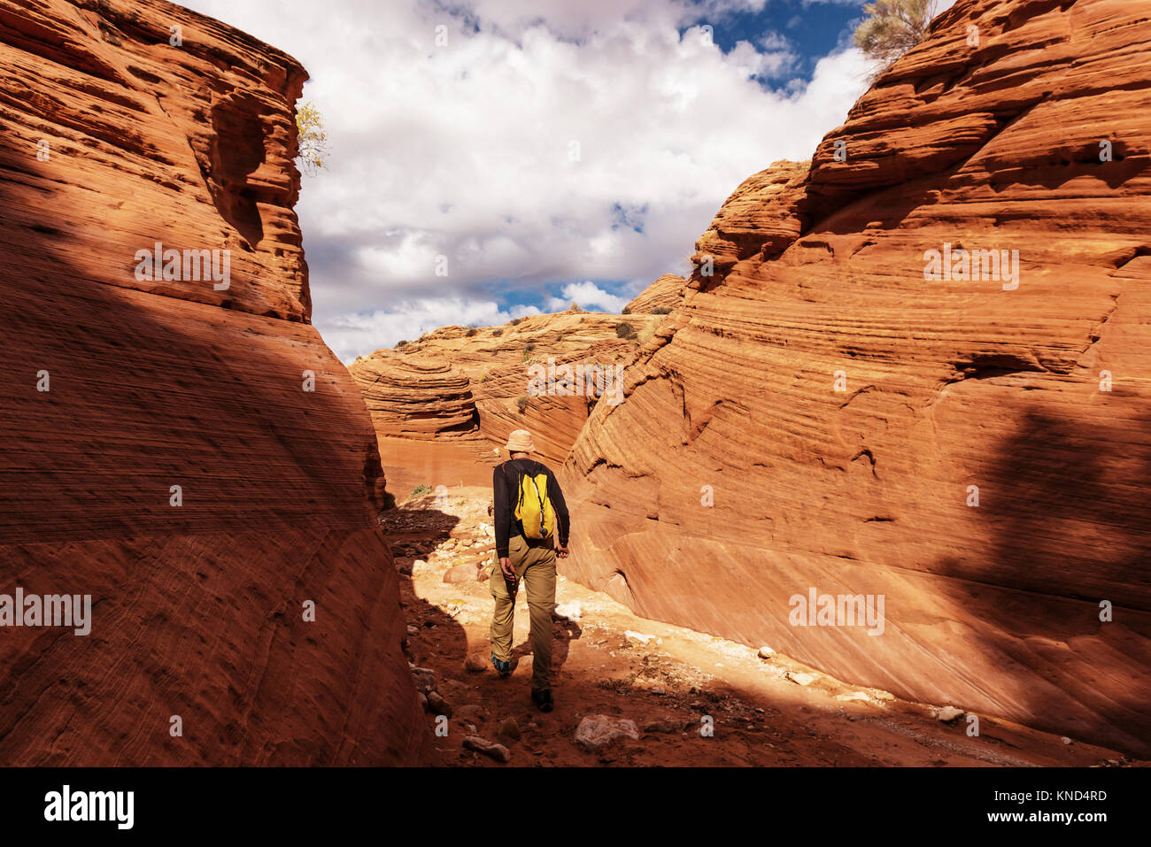 Hike in the Utah mountains Stock Photo - Alamy