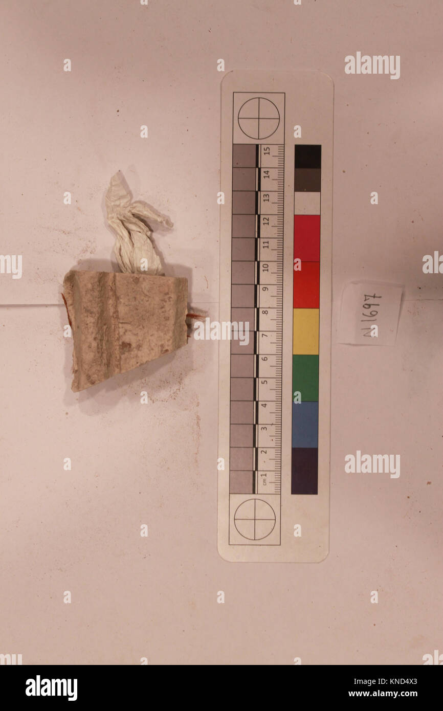 This fragment, a remnant of a larger artwork or object, provides ...