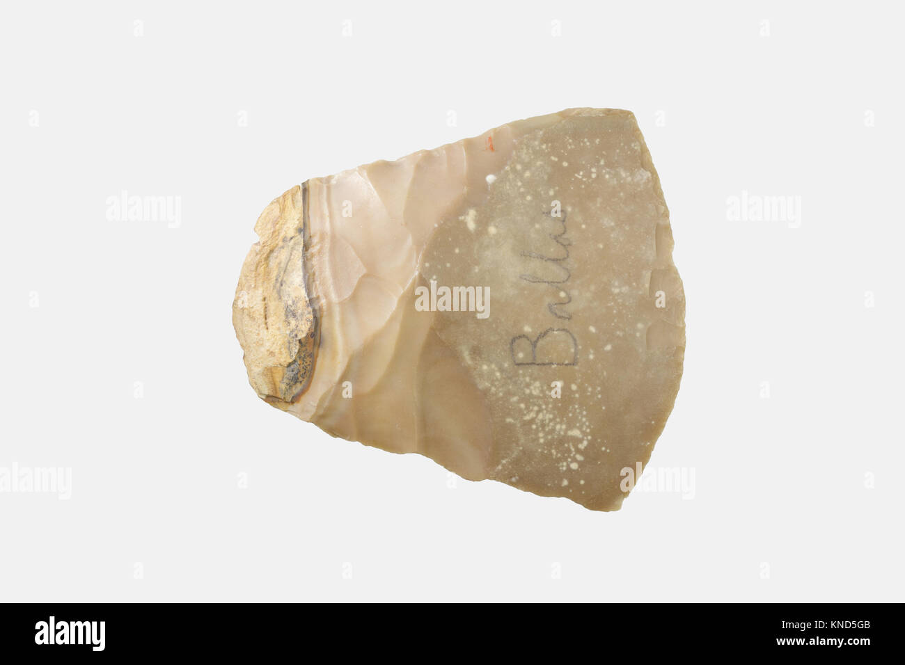 This flint scraper represents early human tool-making techniques. It ...