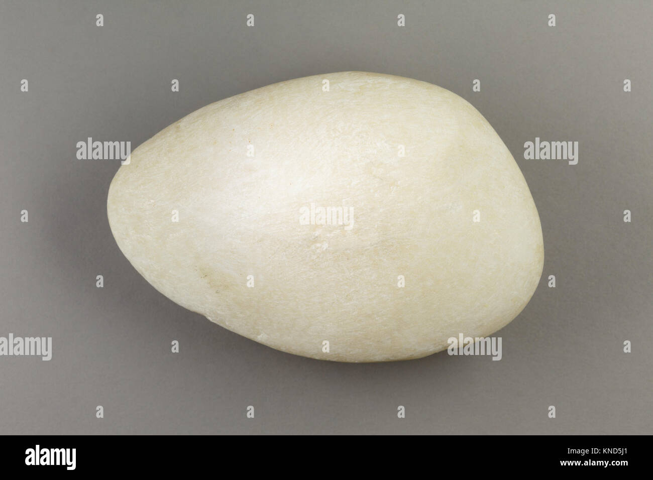This clam-shell-shaped hammer is an artifact from the collection ...
