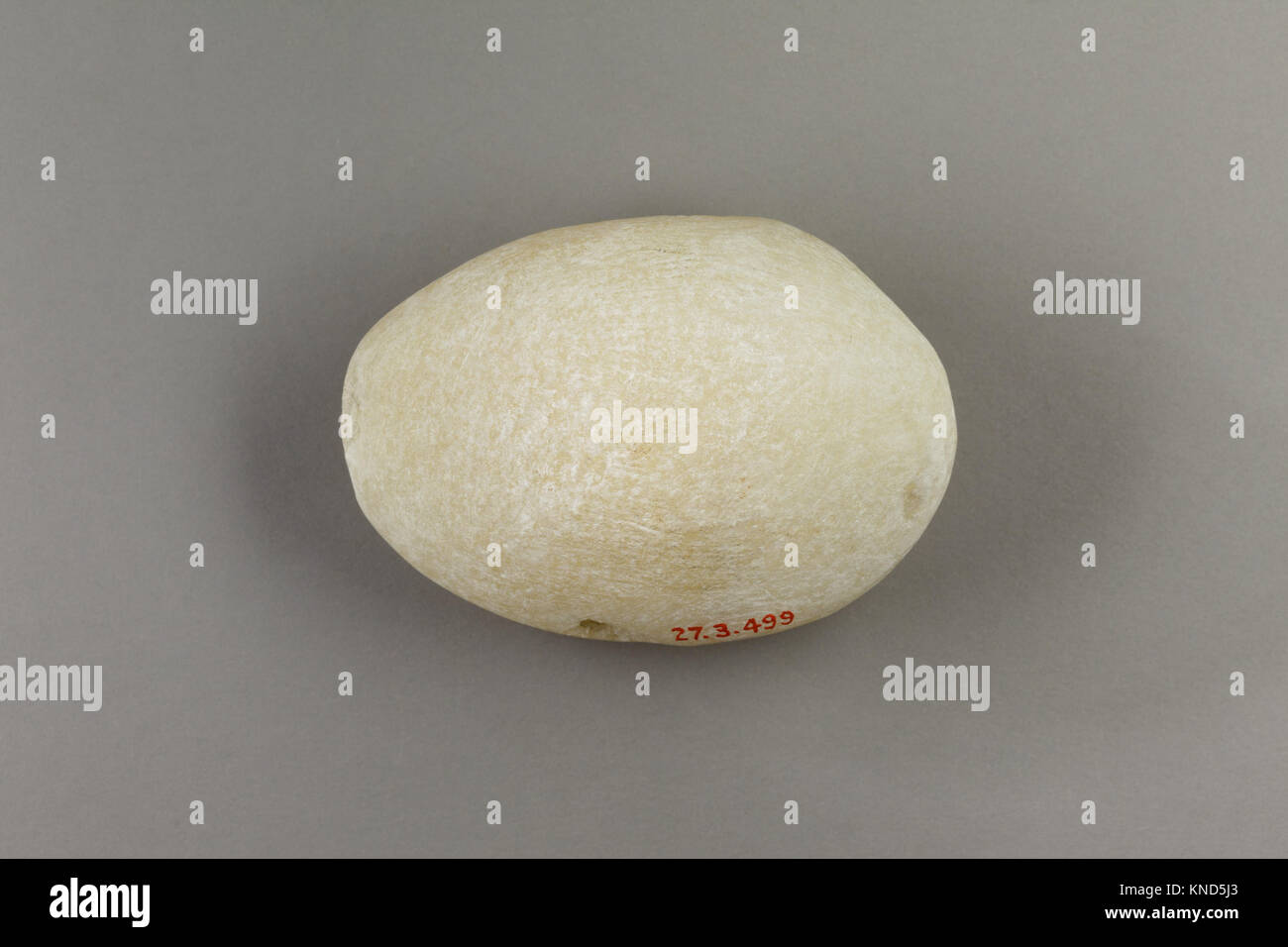 Clam shell shaped hammer hi-res stock photography and images - Alamy