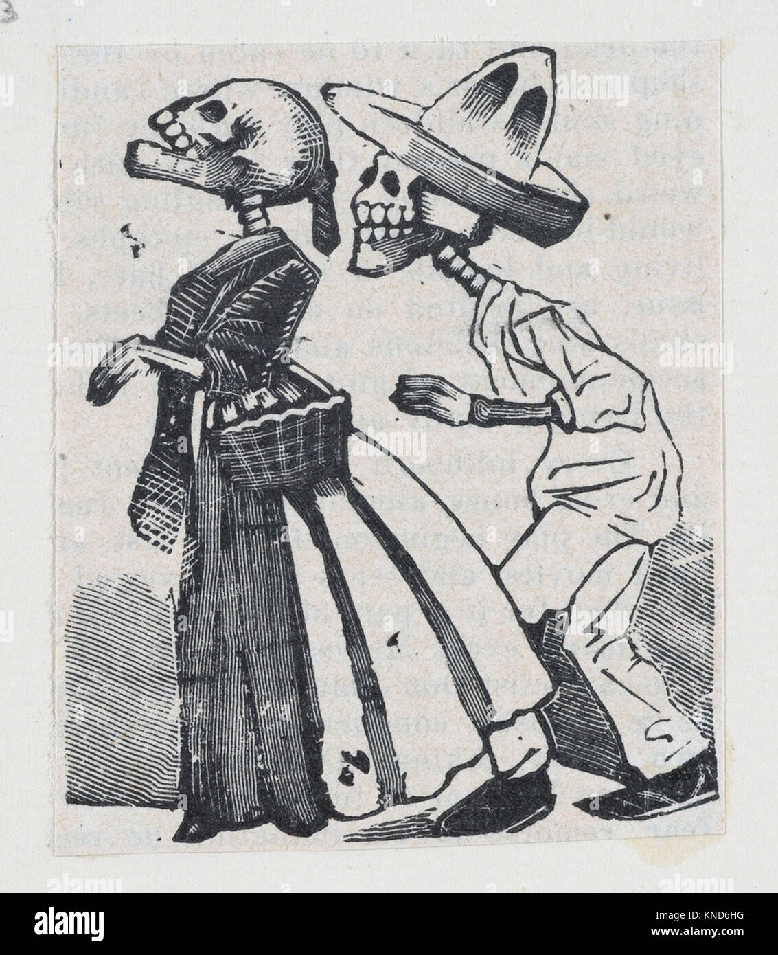 Female skeleton engraving hi-res stock photography and images - Alamy